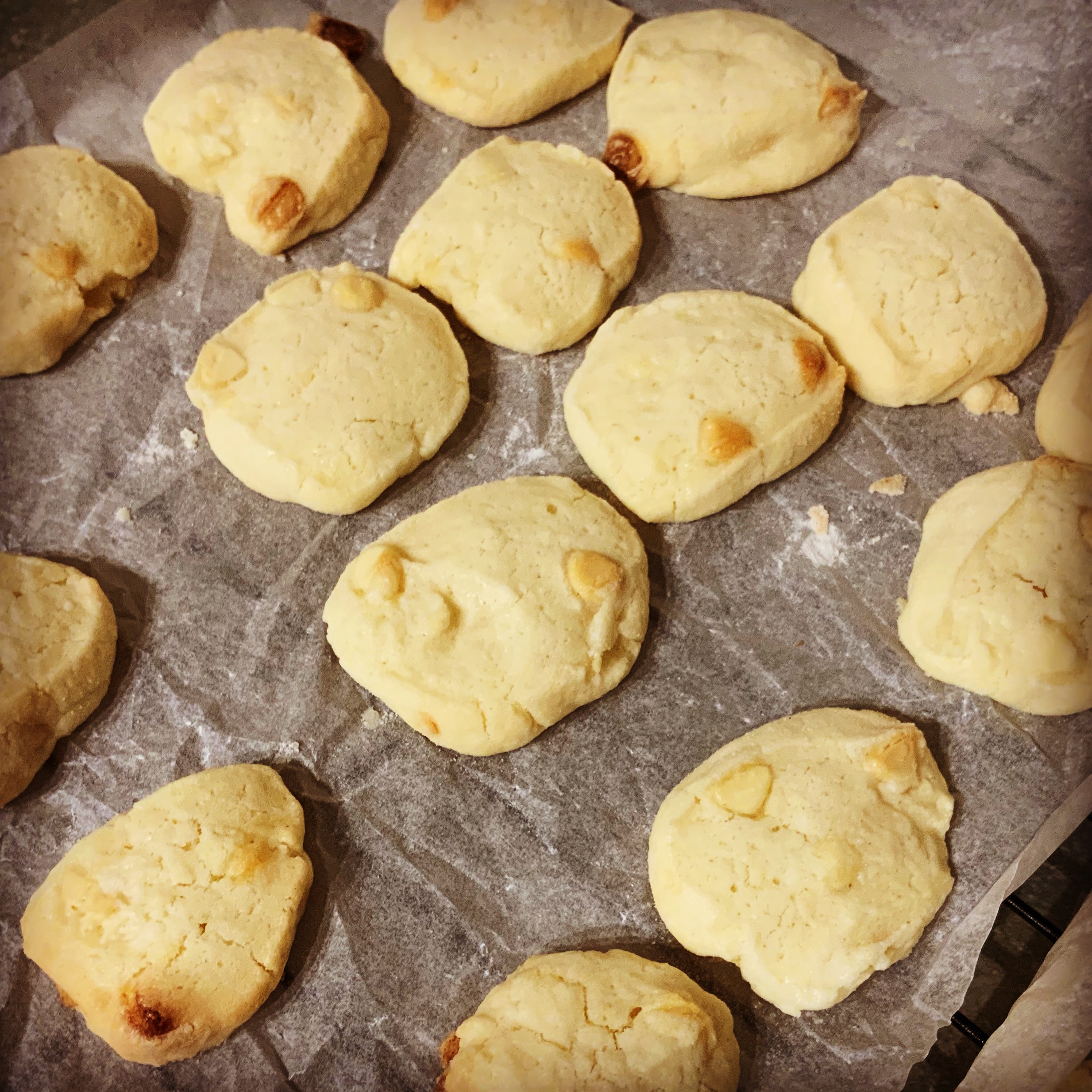 Gluten Free White Choc Chip Biscuits - Time for a coffee